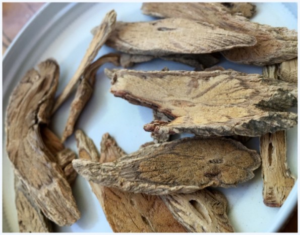 Wu Jia Pi - Affordable Acupuncture KY